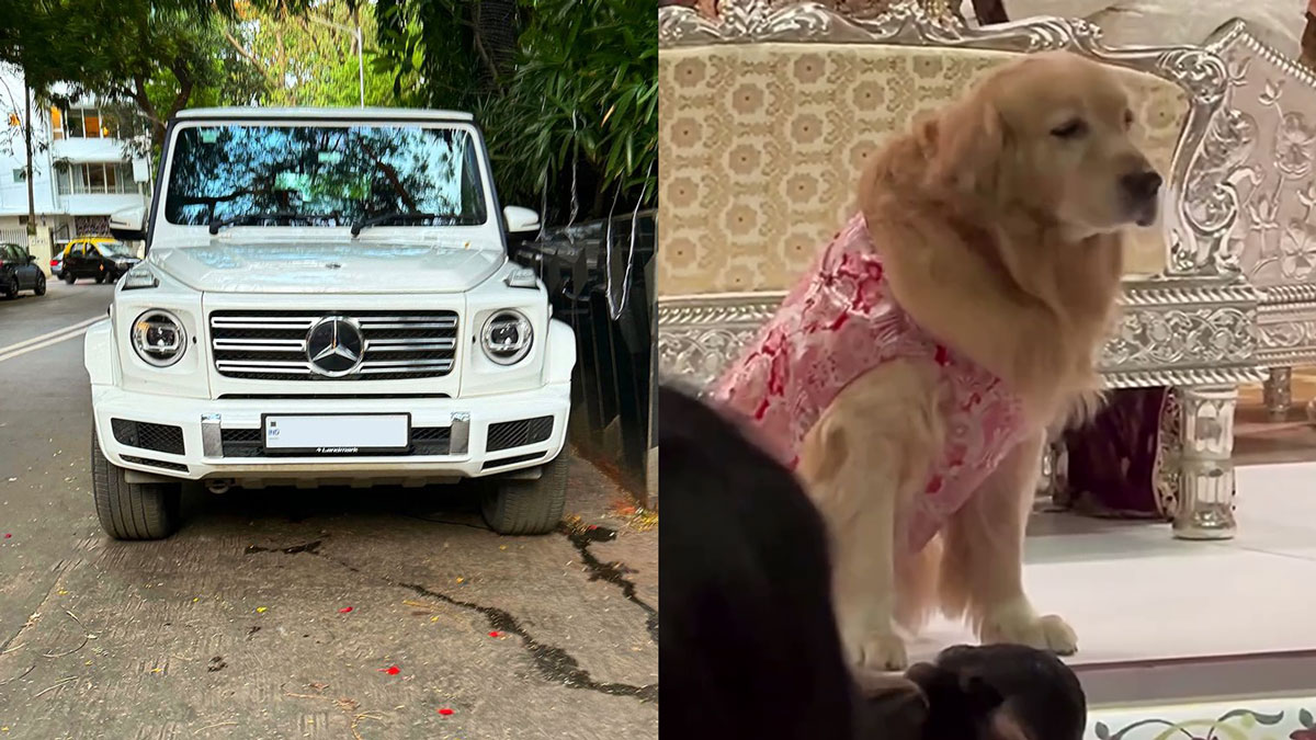 Ambani Family's Pet Dog Enjoys Rides in a Luxury Mercedes SUV ...